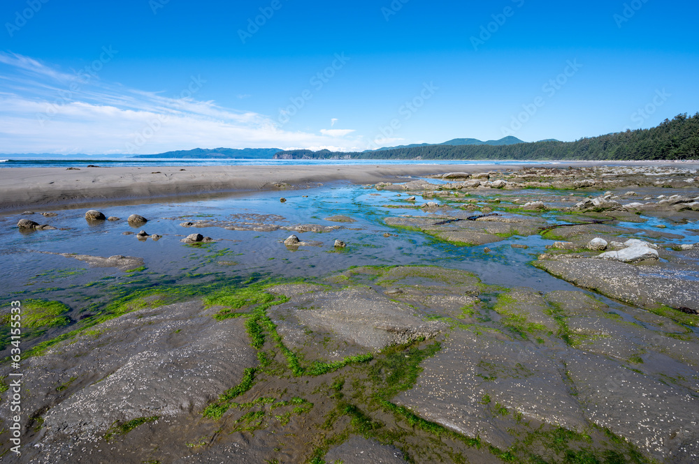 Tide pools and seaweed exposed amidst rocks of Point of Arches on Shi ...