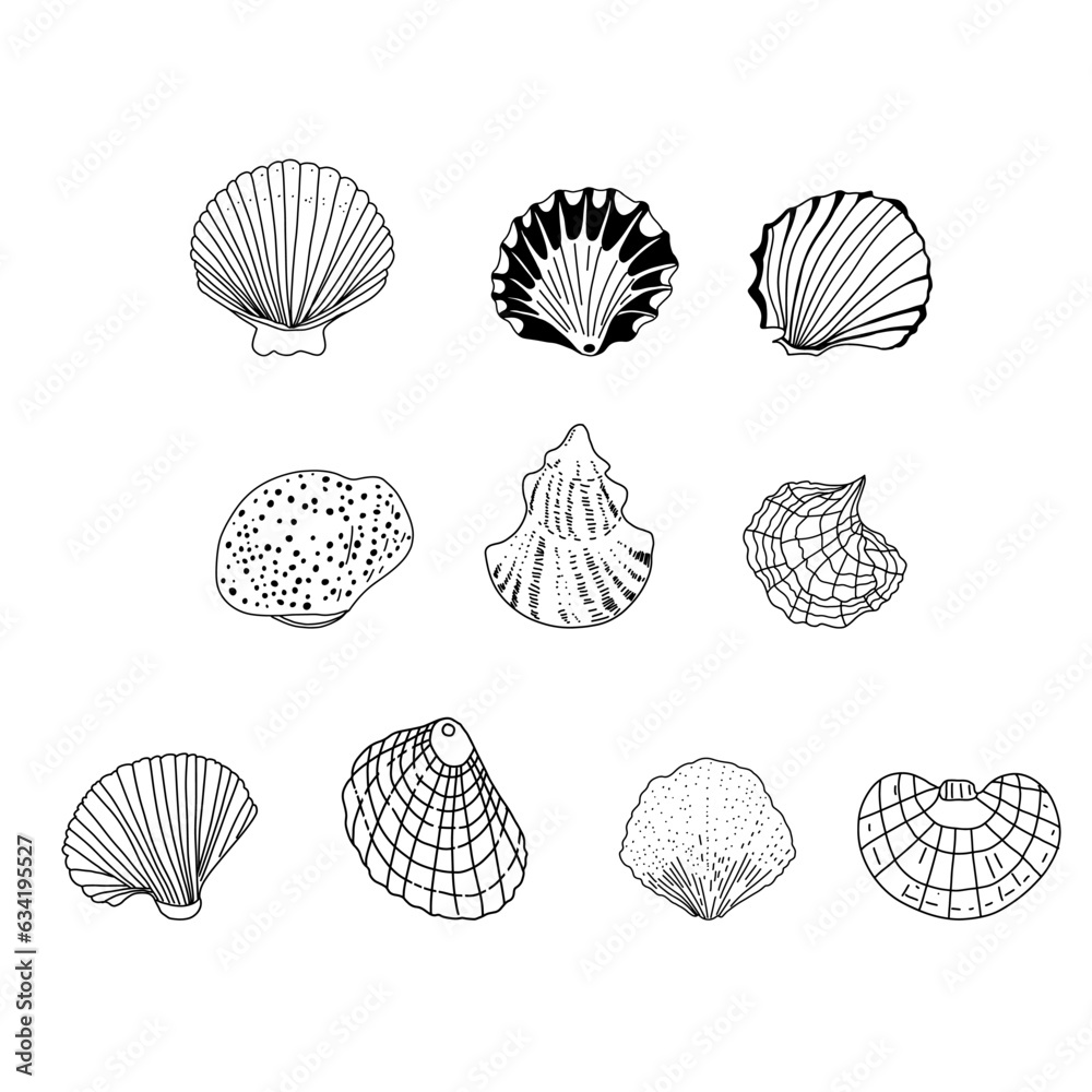 Seashell doodle line art design element for coloring page, teaching ...