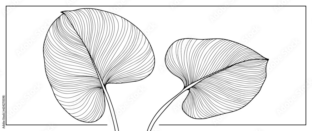 Black outline of two tropical leaves on a white background. Tropical ...