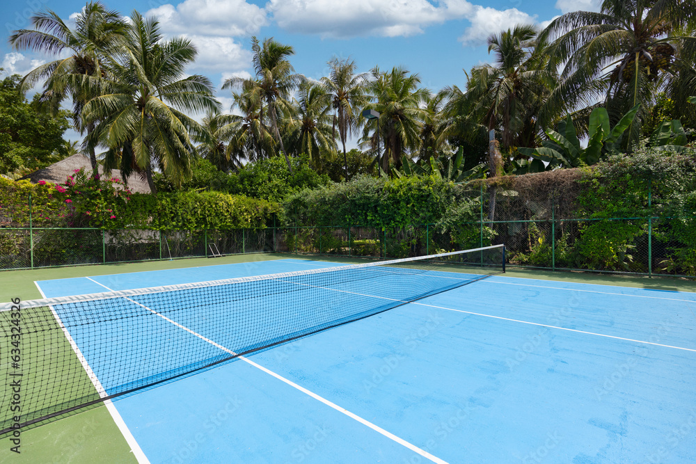Amazing sport and recreational background. Blue tennis court on ...