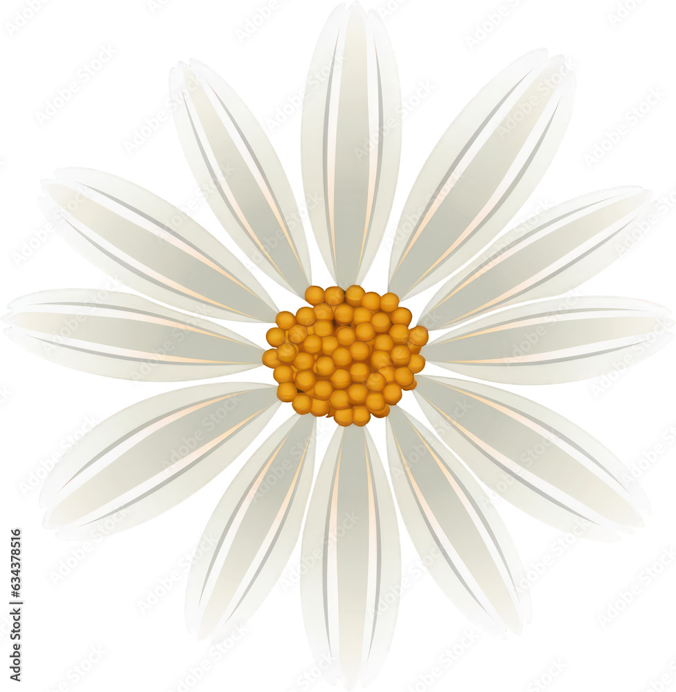 Beautiful clip art illustration of a white daisy flower against a ...