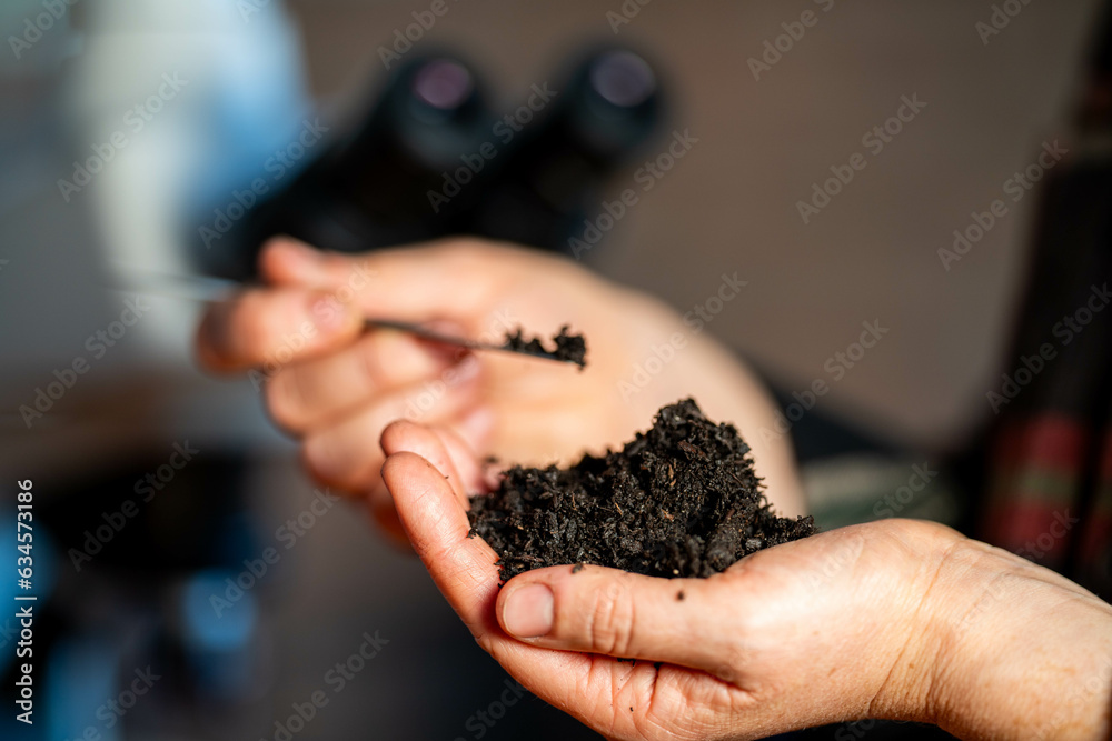 Female farmer holding soil, doing soil tests in her home laboratory ...