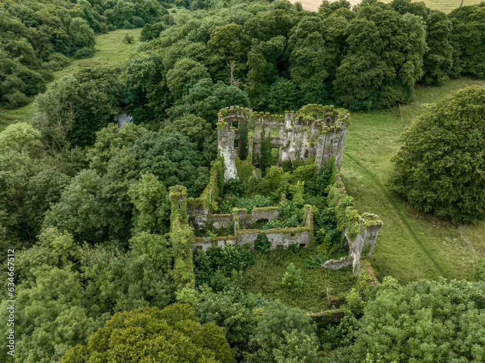 Aerial view of ruined and overgrown Buttevant or Barry's castle on the ...