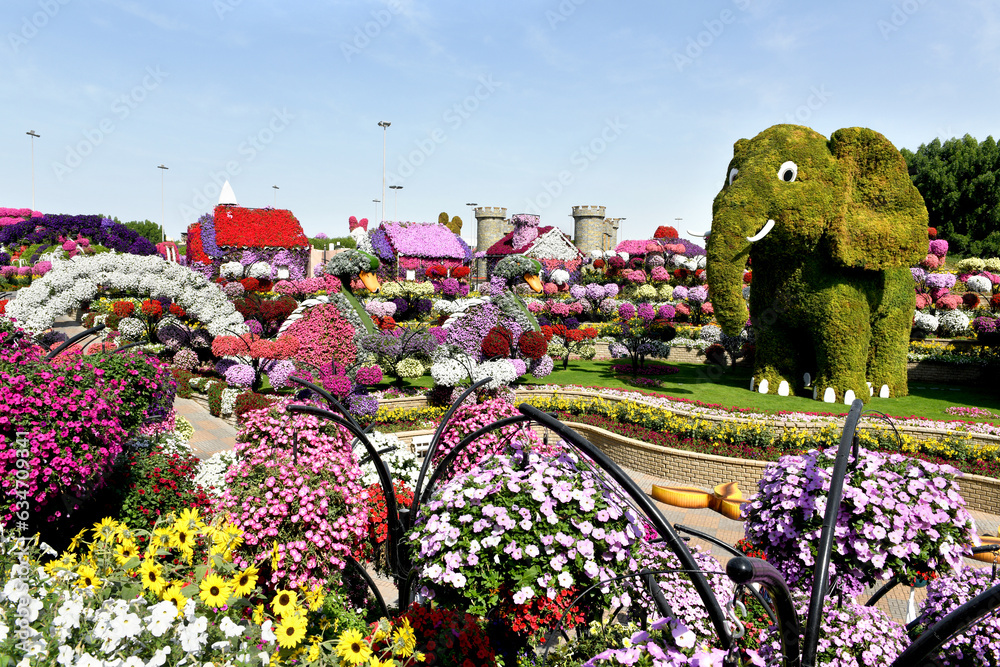 Dubai Miracle Garden is world's largest natural flower garden, 150 ...