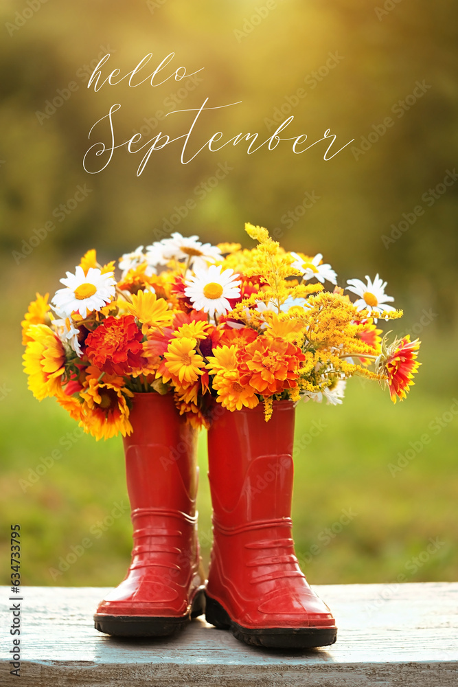Hello September. Red rubber boots with bright flowers bouquet in garden ...