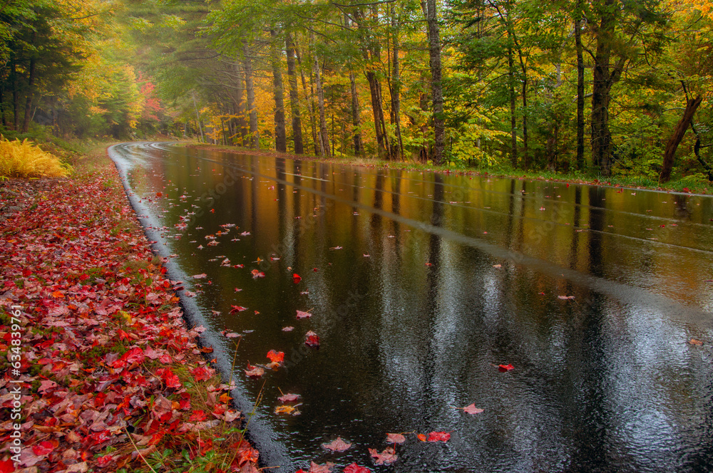 Wet asphalt road after the rain among the colorful autumn forest and ...