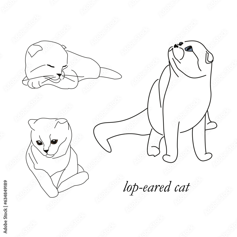 Cute sketch drawing of a playing cat. Linear drawing of a pet. Stock ...