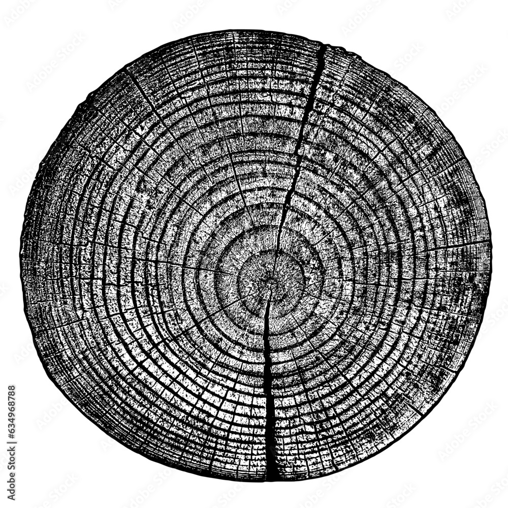 Wood texture cross section of tree rings. Cut slice of wooden stump ...
