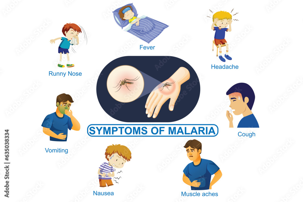Symptoms of malaria.Information infographic illustration. Stock Vector ...