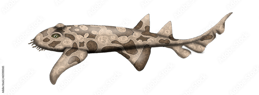 Wobbegong Shark, Shark, Fish, Ocean, Bottom Feeder Stock Illustration ...
