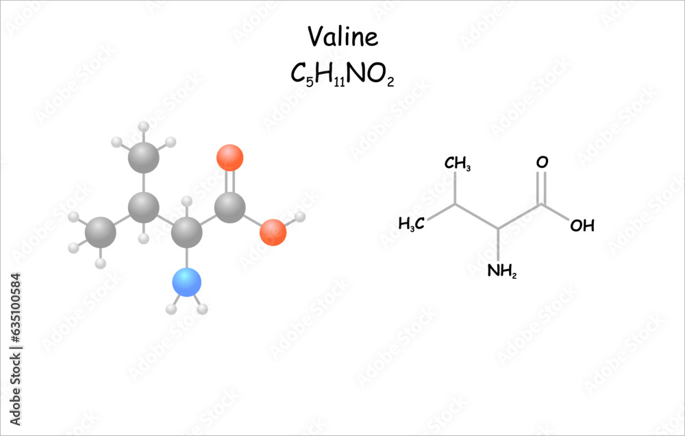 Stylized molecule model/structural formula of valine. Stock Vector ...