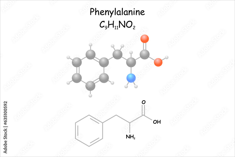 Stylized molecule model/structural formula of phenylalanine. Stock ...