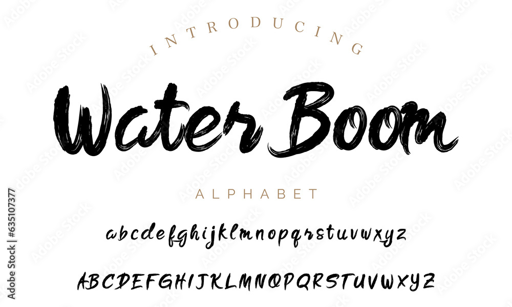 Water Boom hand lettered font Smooth beautiful brush script design ...