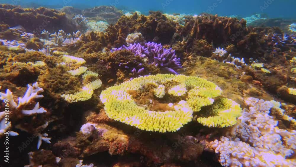 Vidéo Stock blue shallow ocean sea water with finger leather soft ...