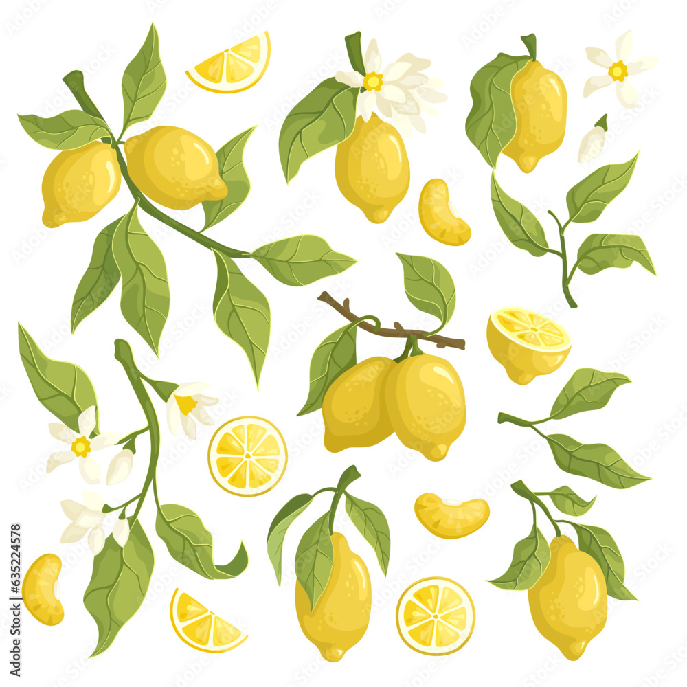 Realistic lemon collection. Lemons on a branch with flowers and leaves ...