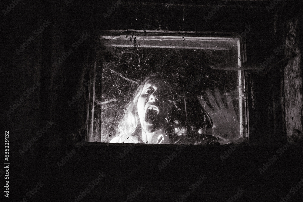 scary woman behind window at night Halloween horror background Stock ...