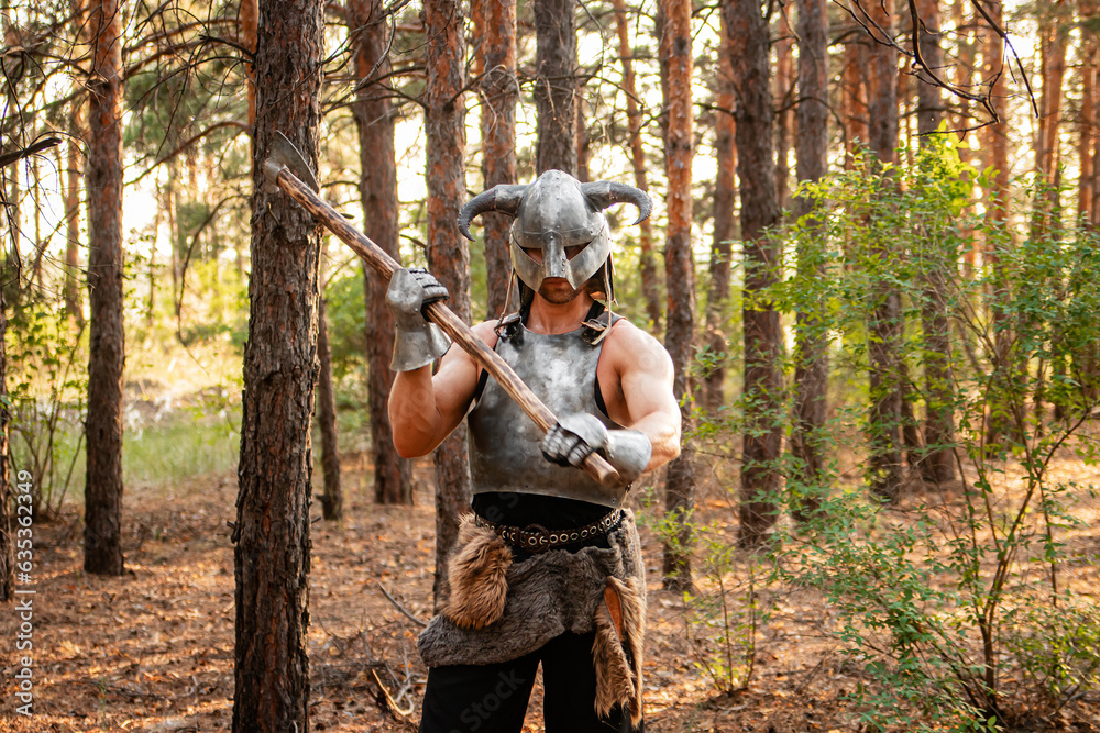 Portrait of a warrior in a horned helmet, a steel breastplate with a ...