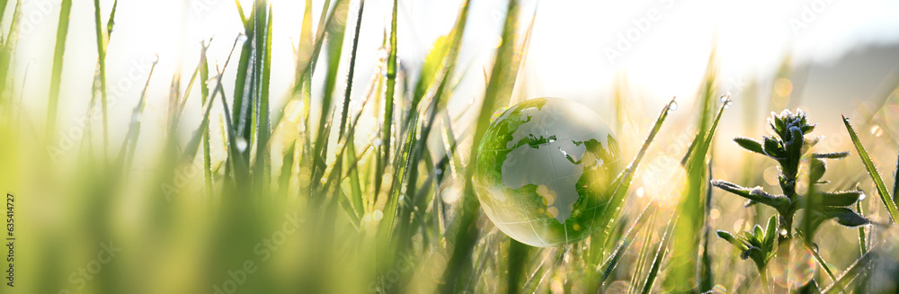 Globe Glass, earth ball europe and africa on green grass forest with ...