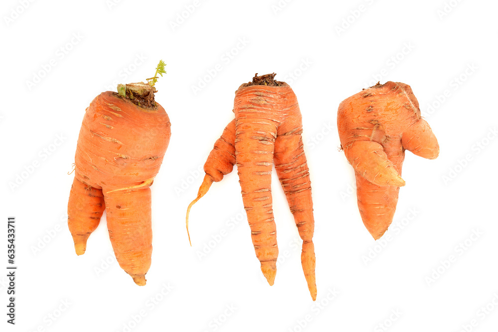Twisted deformed and misshapen carrots. Organic imperfect examples on ...