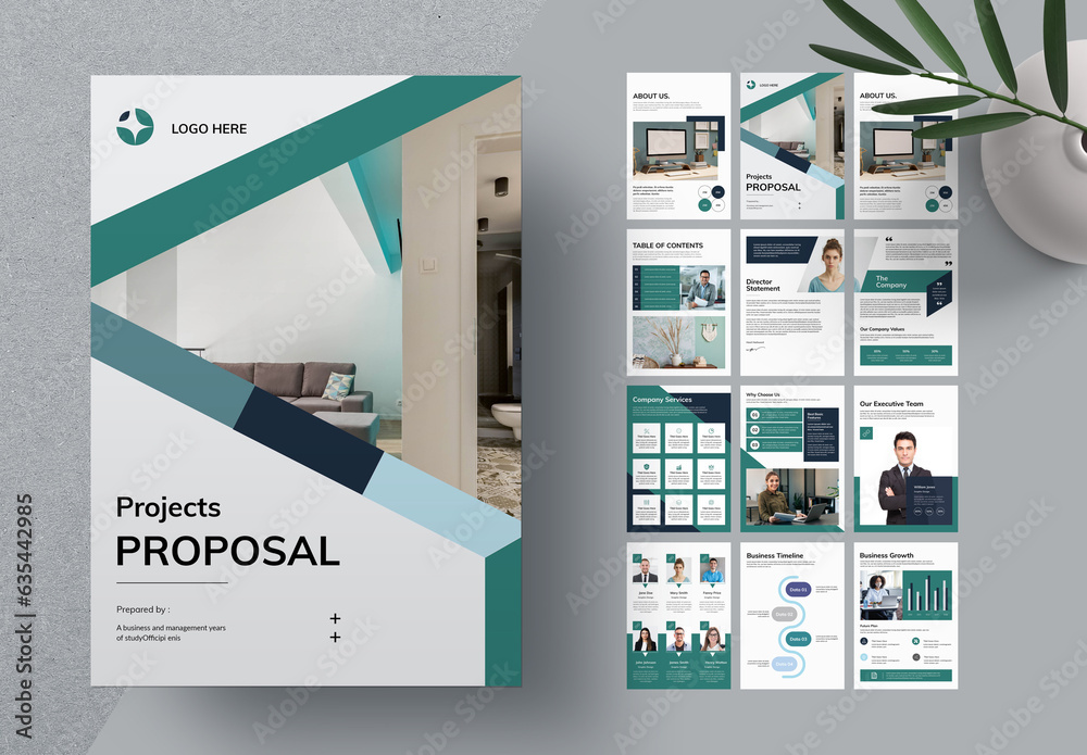 Projects Proposal Template Stock Template | Adobe Stock