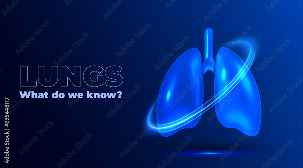 Human lungs anatomy. 3d model of human lung. Health and care ...