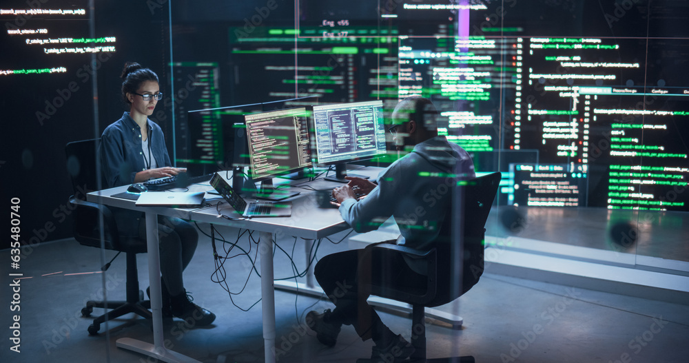 Portrait Two Diverse Developpers Working on Computers, Typing Lines of ...