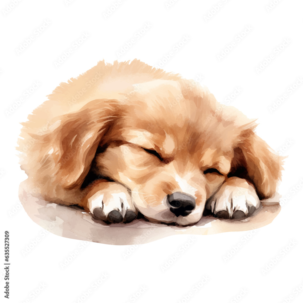 Watercolor sleeping dog. Vector illustration with hand drawn puppy ...