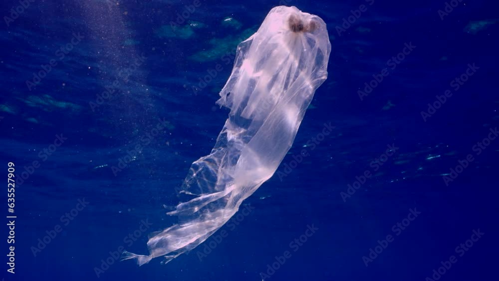 Plastic bags floating underwater on sunny day in sunbeams, Slow motion ...