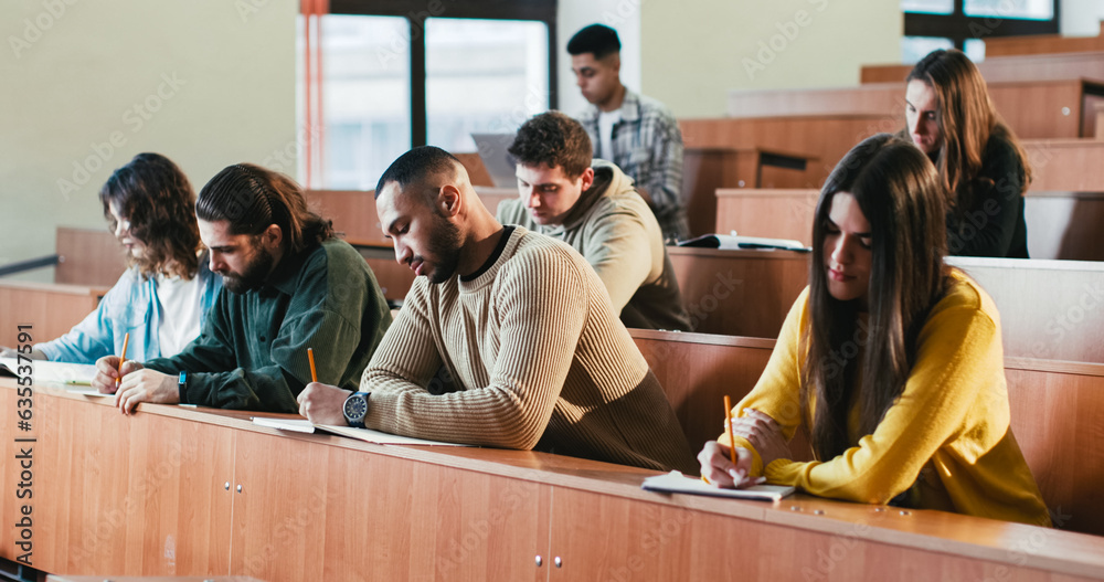 Mixed-races young males and females students sitting at desk in class ...
