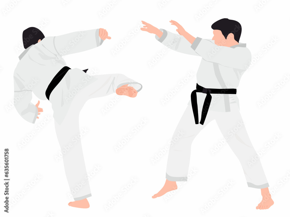 Two or pair of karate player in fighting pose. Two young athletes of ...