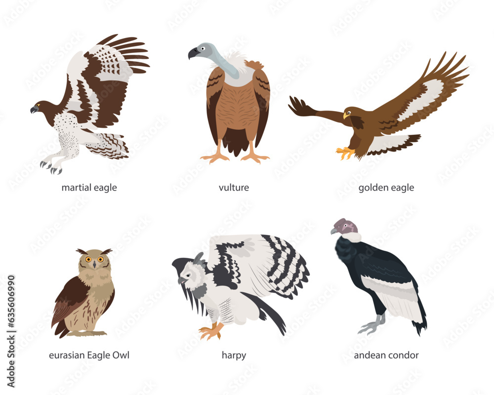 Set of birds of prey. Andean condor, harpy, martial eagle, golden eagle ...