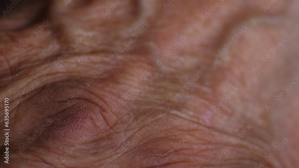 extreme close-up of wrinkled skin on the arm of an elderly person. the ...