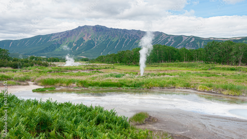 Panorama of hot springs, pools and warm toxic lakes in Kronotsky Nature ...