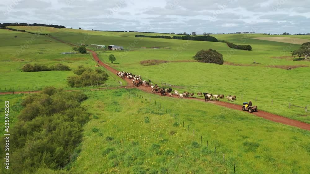 Stockvideo man working in agriculture. Boy riding a motorbike on a farm ...