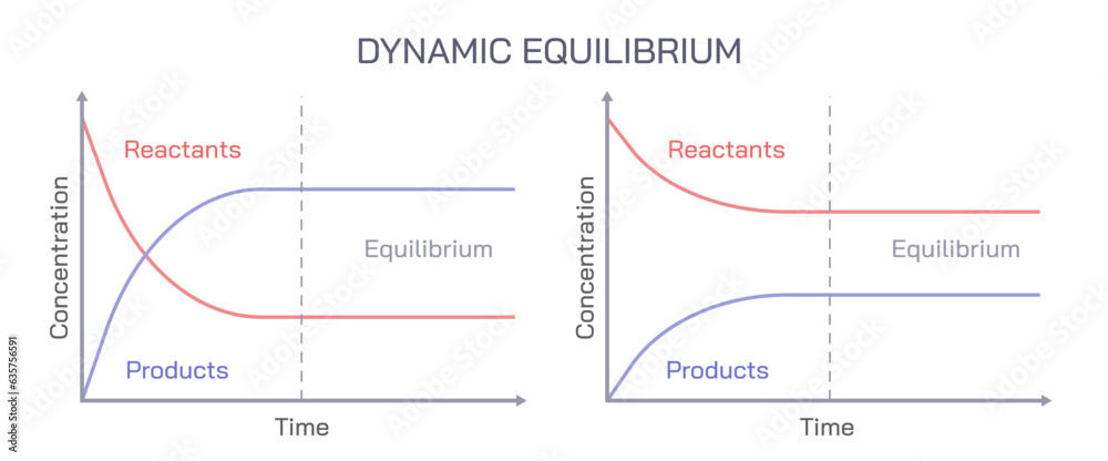 Physical equilibrium is defined as the equilibrium which develops ...