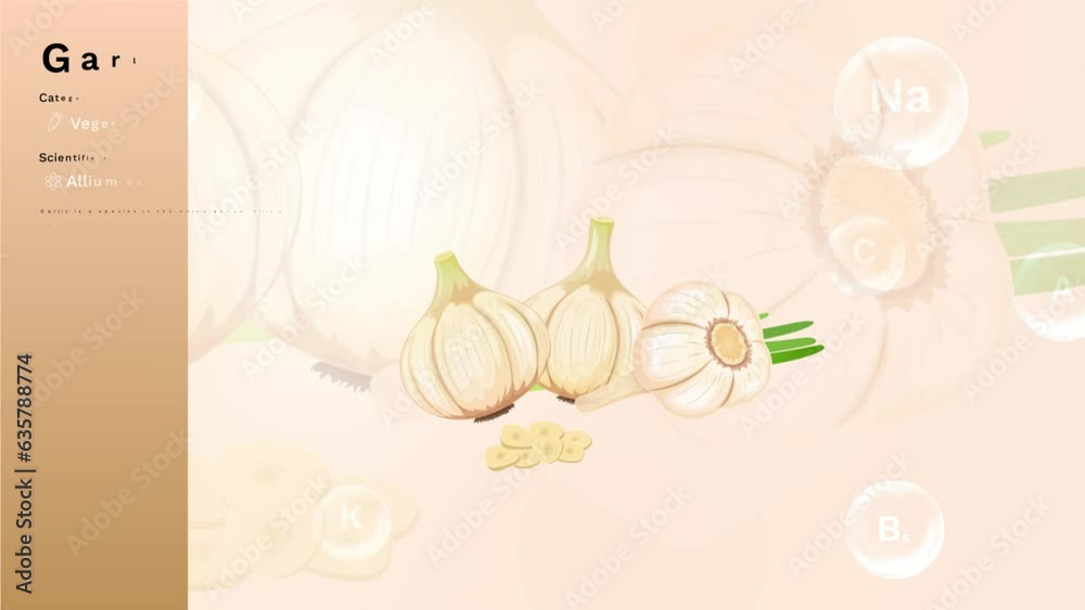 Garlic and its Nutritional Properties with Minerals and Vitamins ...