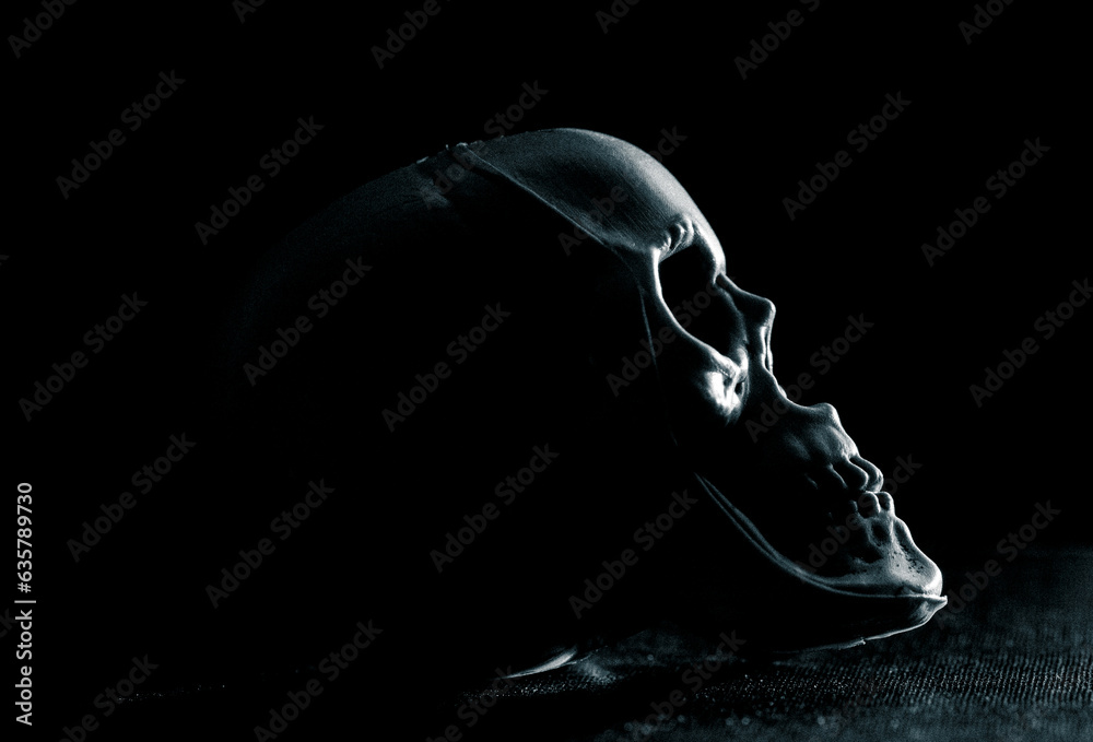 scary human skull horror Halloween Stock Photo | Adobe Stock