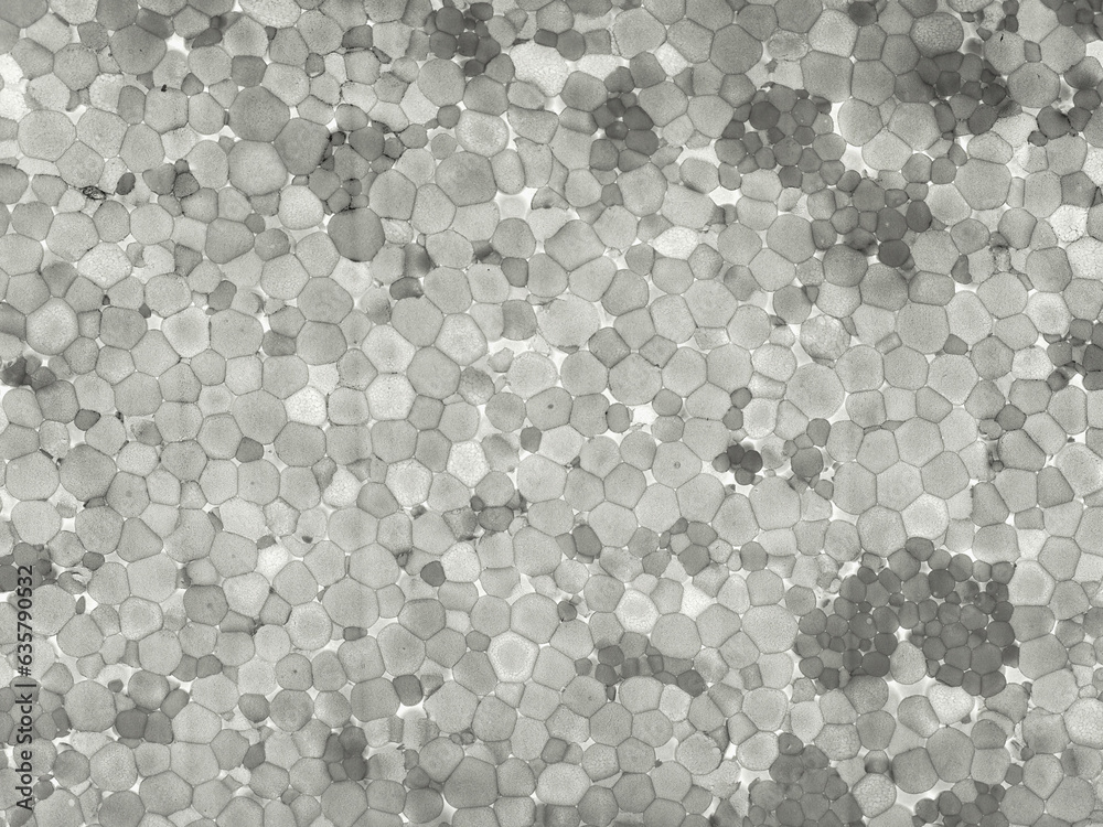 Poster expanded polystyrene plastic texture background – Wall Art ...