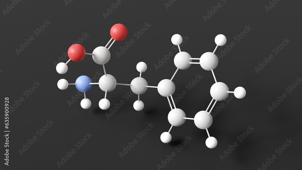 phenylalanine molecule, molecular structure, alpha-amino acid, ball and ...