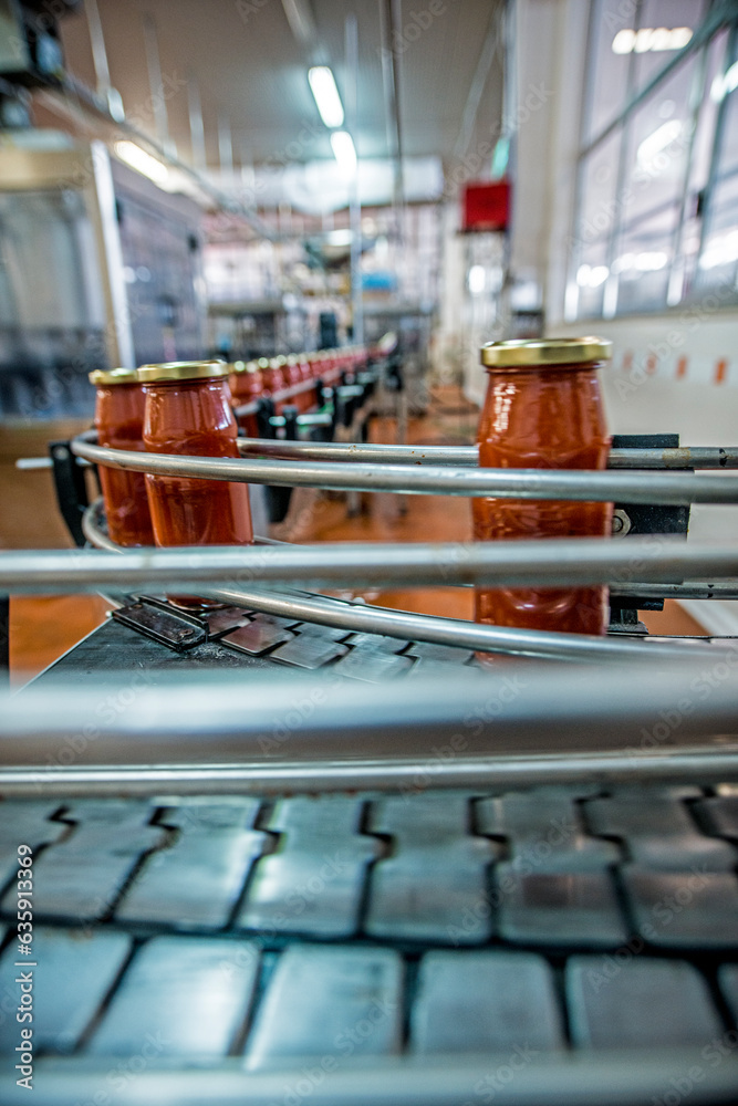 The working process of production of tomatoes to canned food and ...