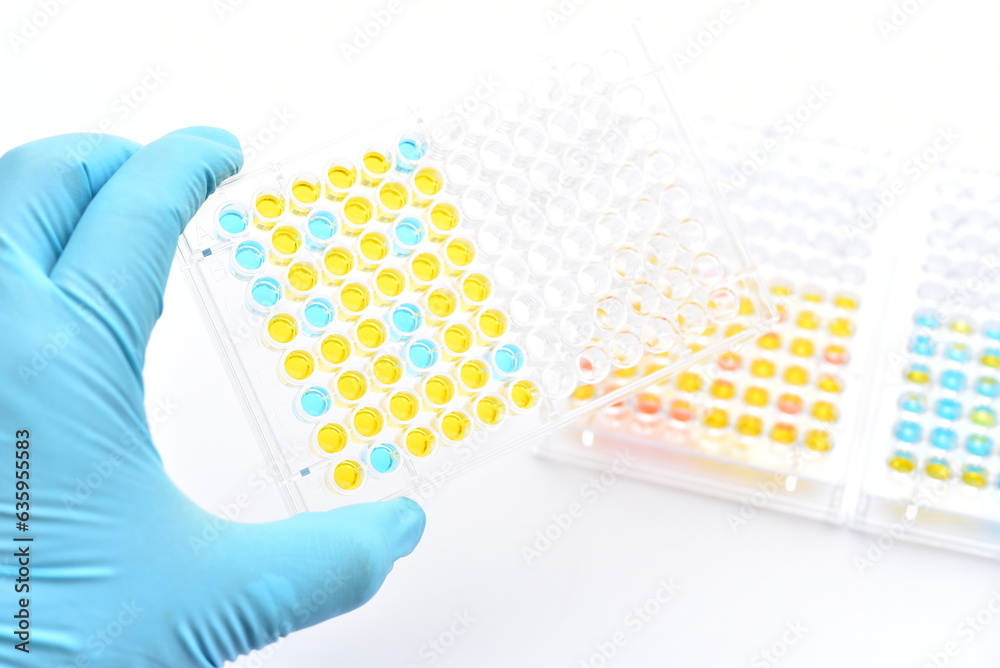 Enzyme-linked immunosorbent assay or ELISA plate, Immunology testing ...