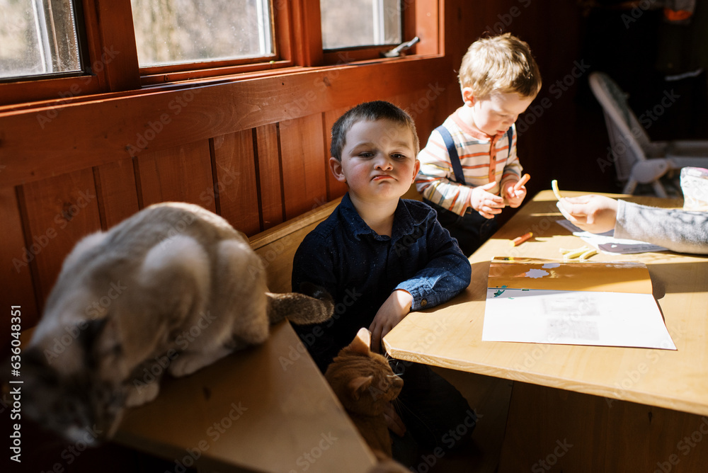 family at dining table together with cat walking over drawings Stock ...