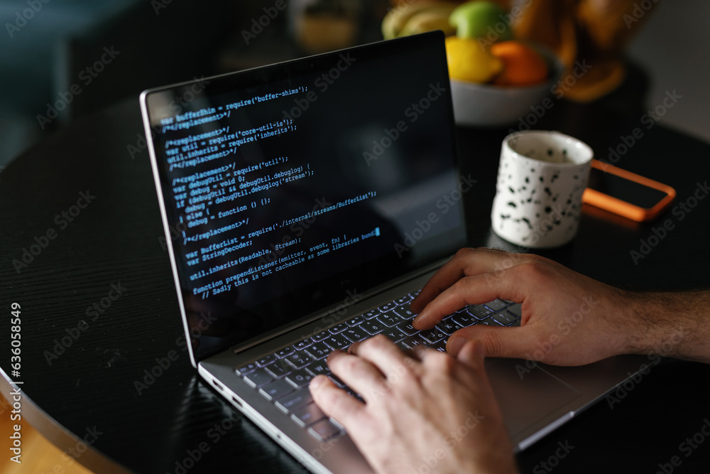 Coding. Professional programmer. Online. Employee. Gadget. House Stock ...