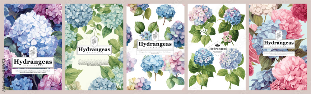 Set of Elegant Hydrangeas, Realistic Vector Illustrations of Flowers ...