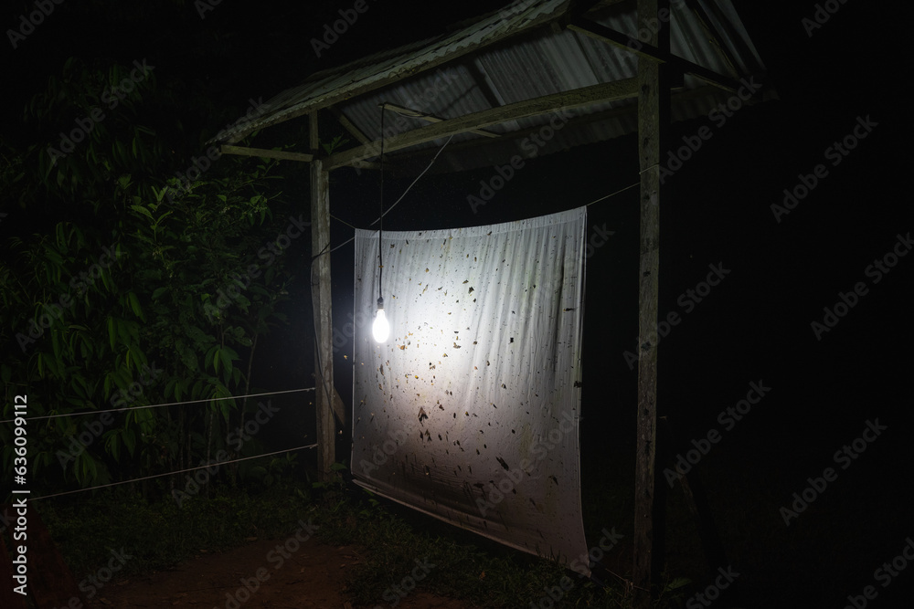 Light trap for insects Stock Photo | Adobe Stock