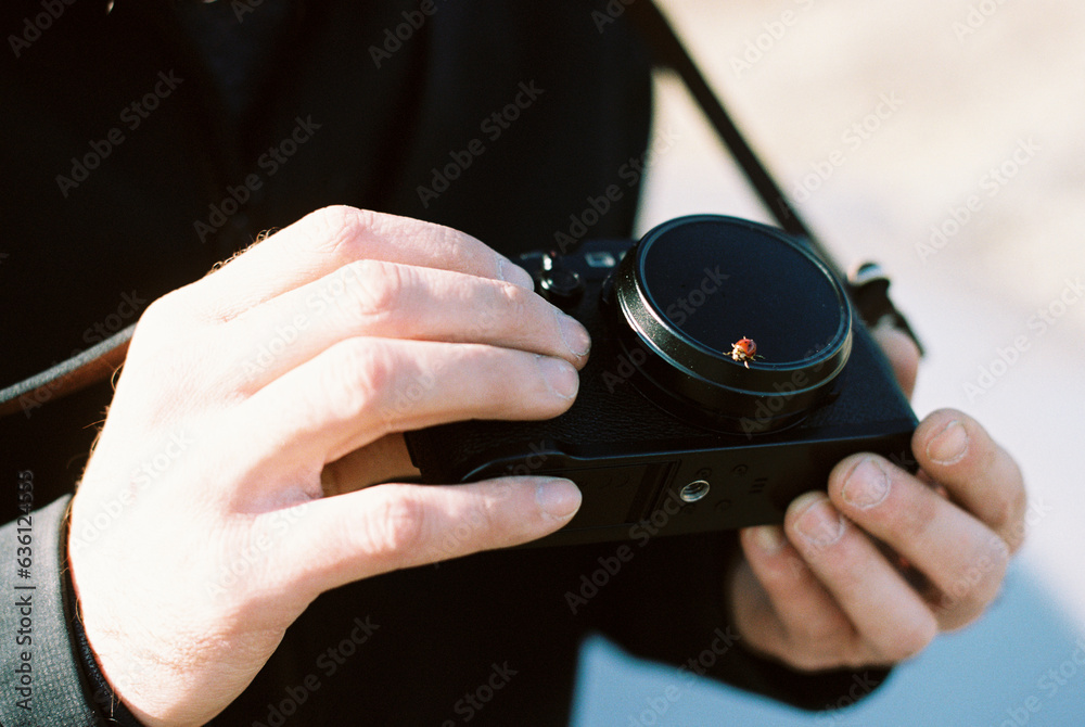 man holding camera to look at ladybug that landed on lens Stock Photo ...