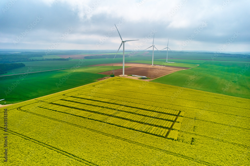 Wind farm & canola crop for biofuel energy Sustainable Aviation Fuels ...