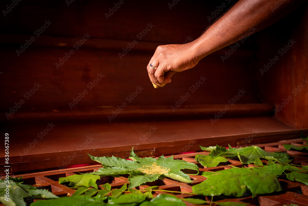 Ayurvedic steam bath Ayurvedic steam bath also known as "svedana" is ...