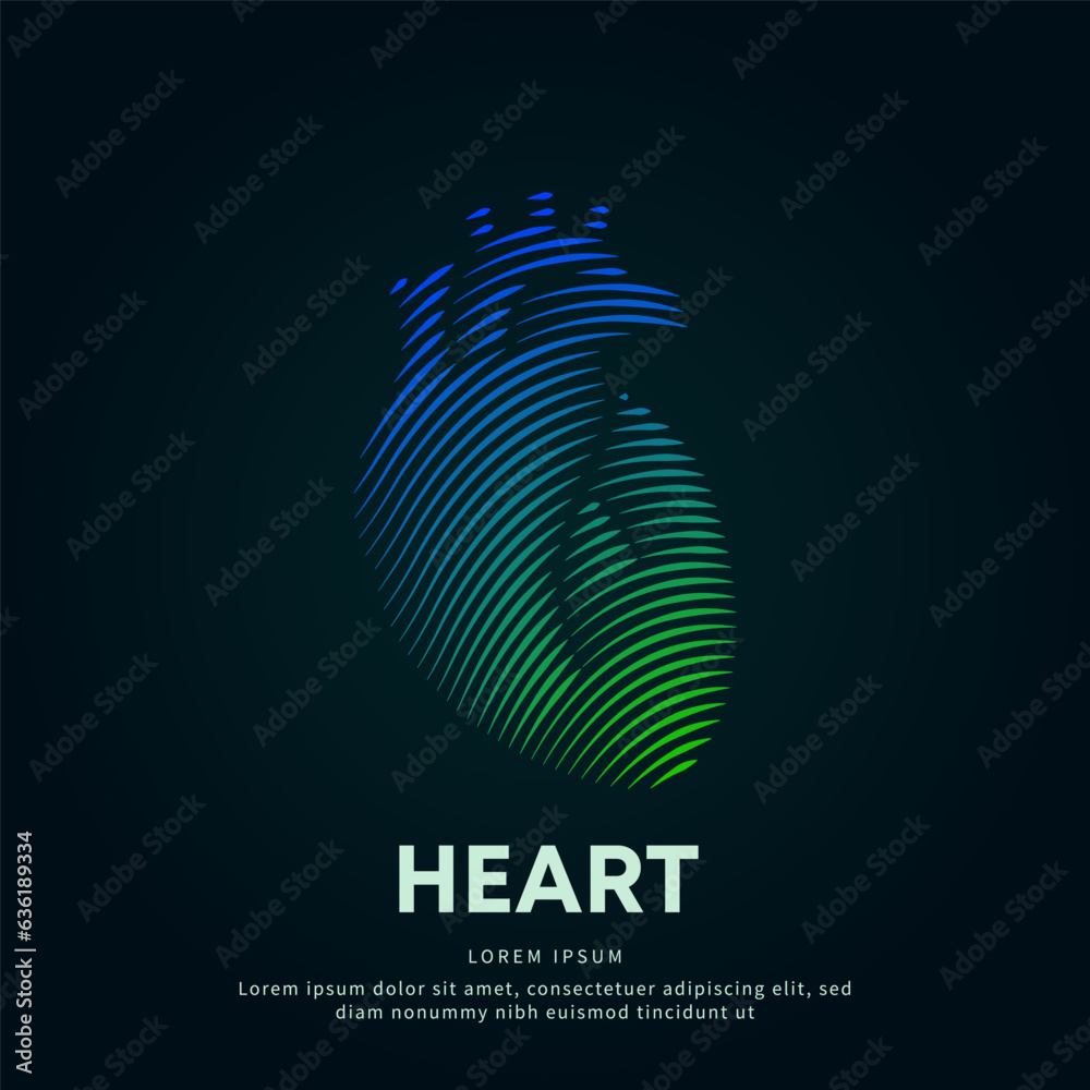 Human heart medical structure. simple line art Human heart Anatomy ...
