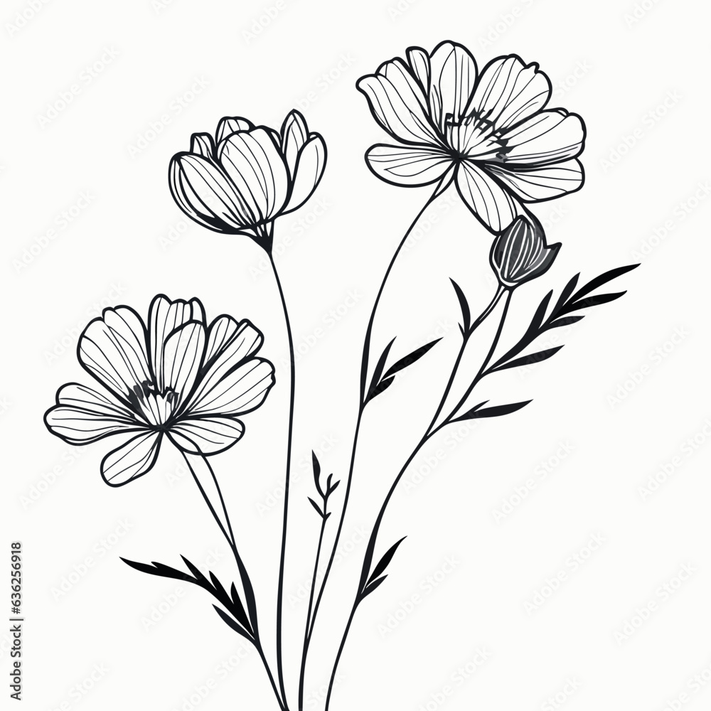 botanical lineart illustration of 2d flowers in black and white ...